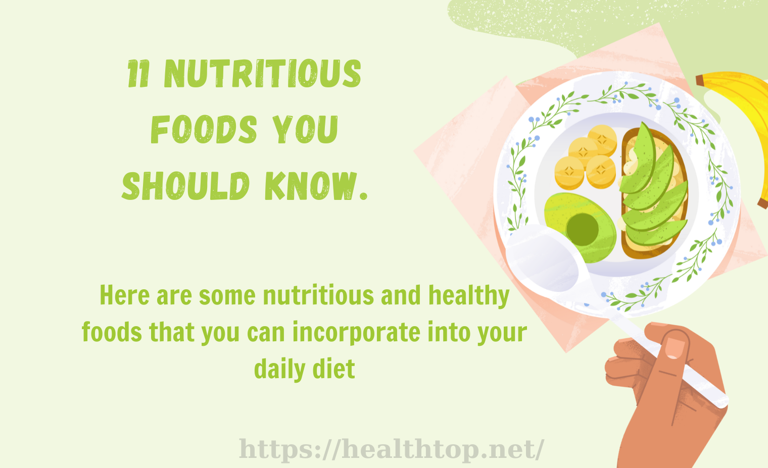 11 nutritious foods you should know - Healthtop.net